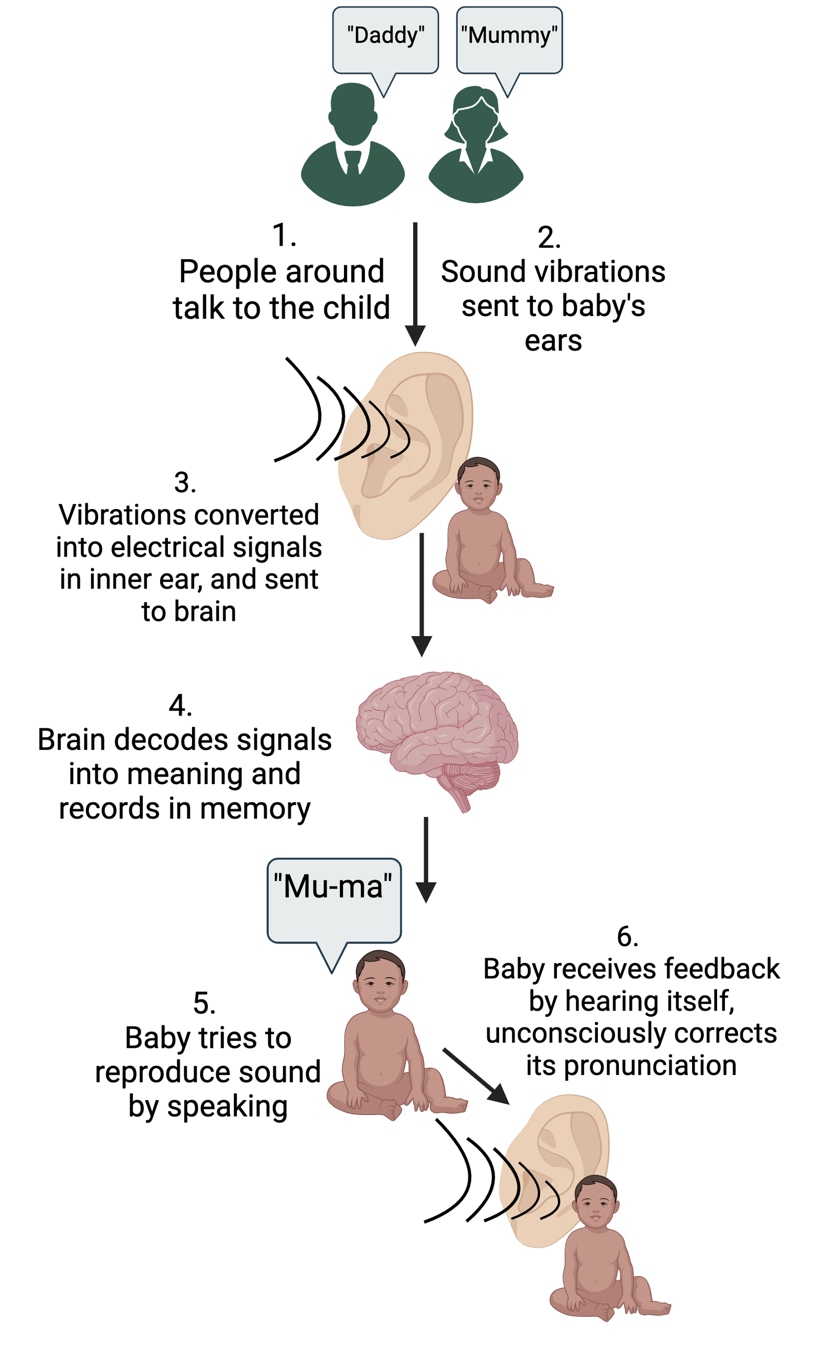 How does hearing influence speaking? – Welcome to My Deaf Baby Speaks
